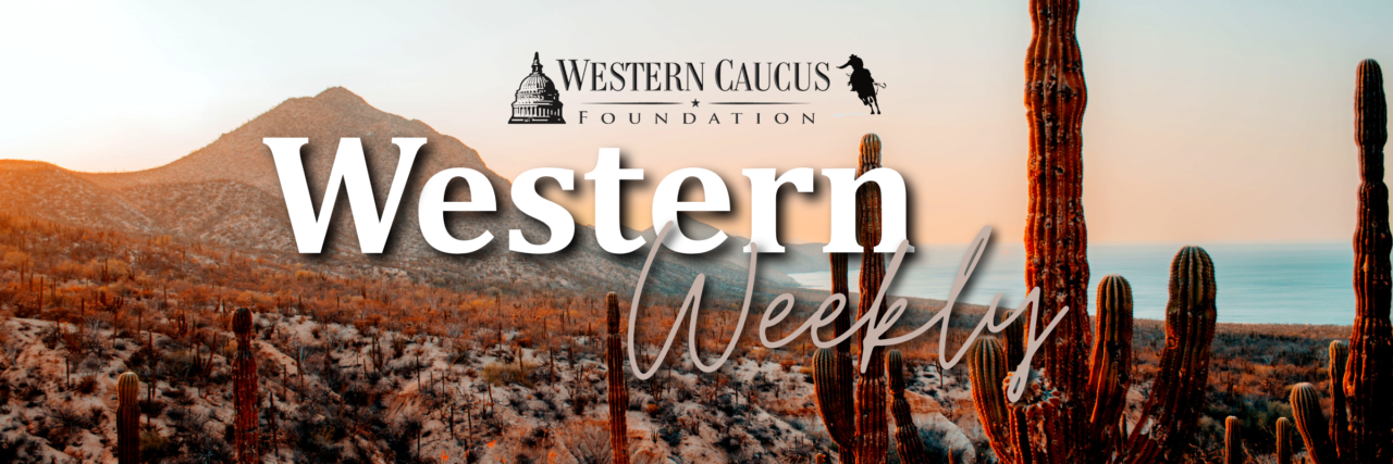 Meet the New CWC Members | Western Caucus Foundation