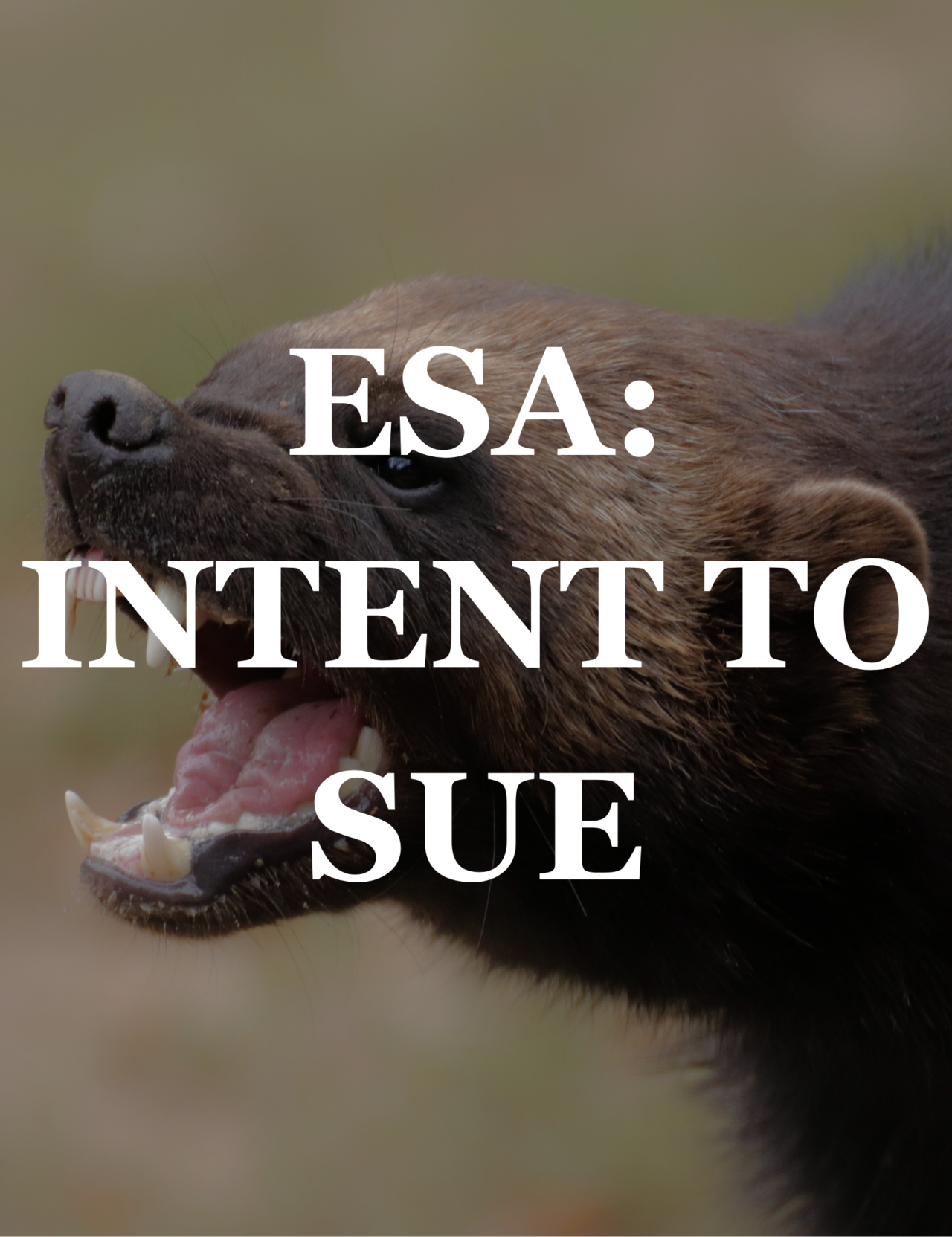 Energy Crises | ESA Action | Western Caucus Foundation