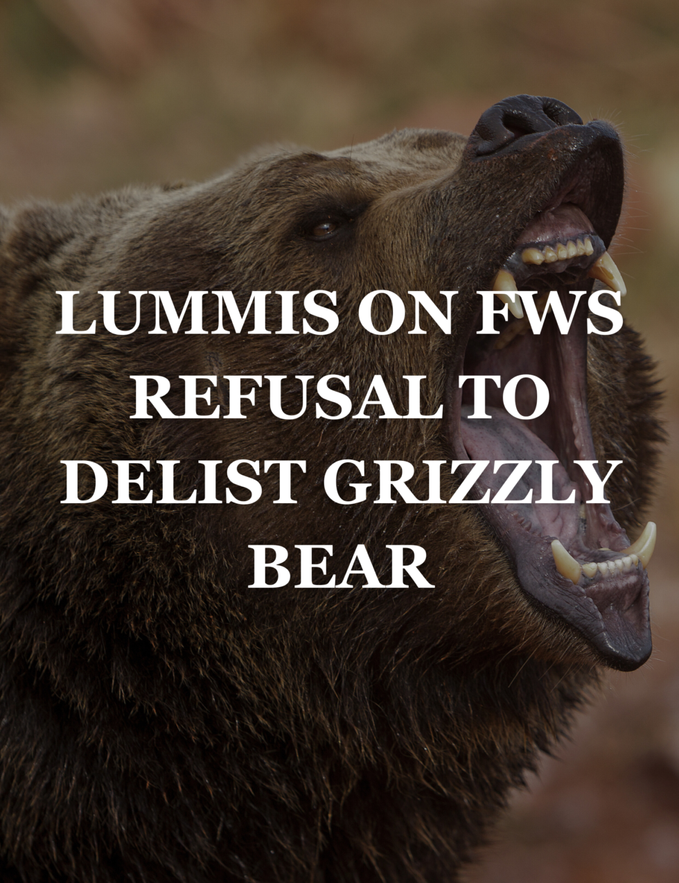 Meet the New CWC Members | Western Caucus Foundation