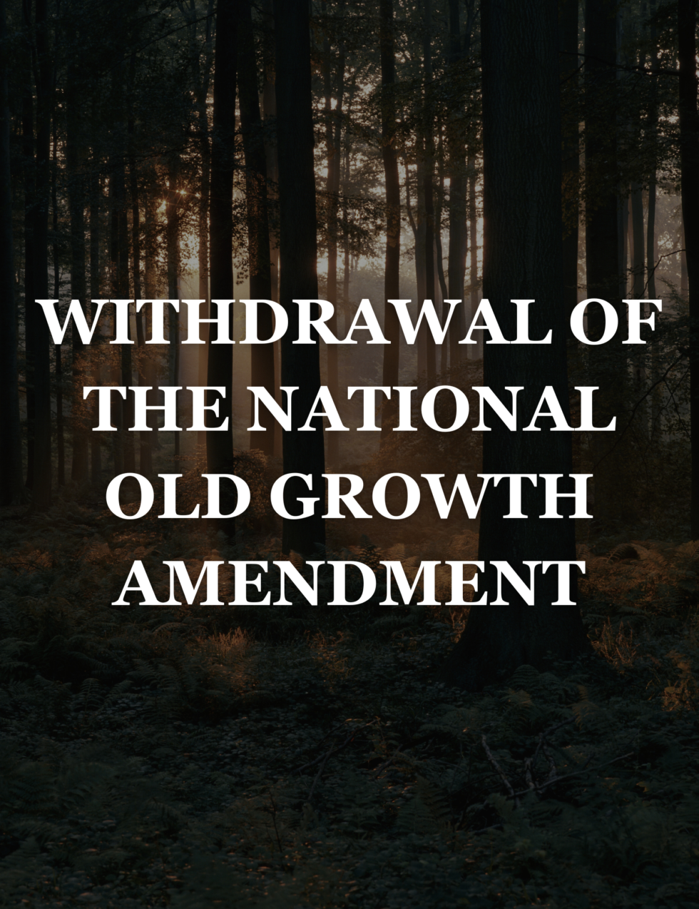 Meet the New CWC Members | Western Caucus Foundation